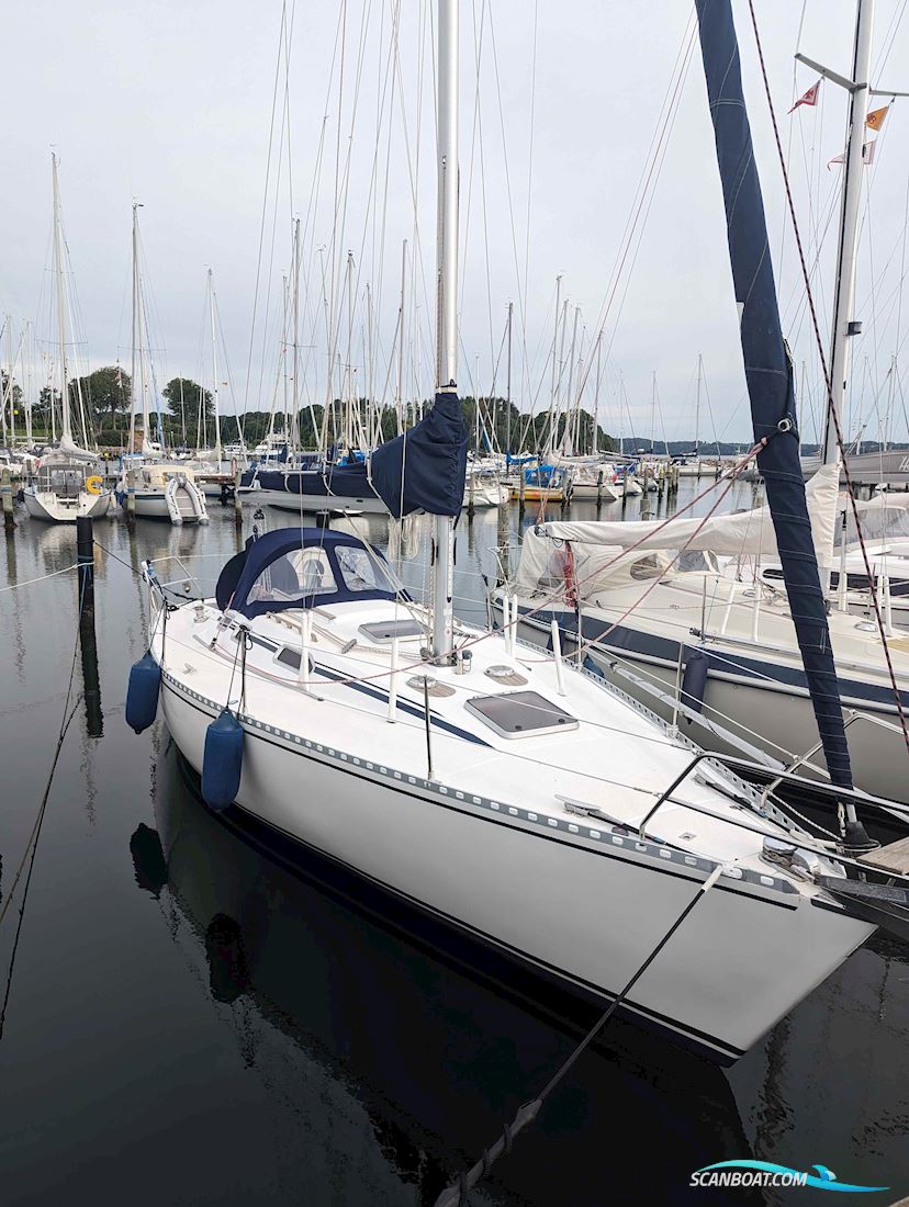 Elan | Segelboot Verkaufen | Dänemark | Scanboat