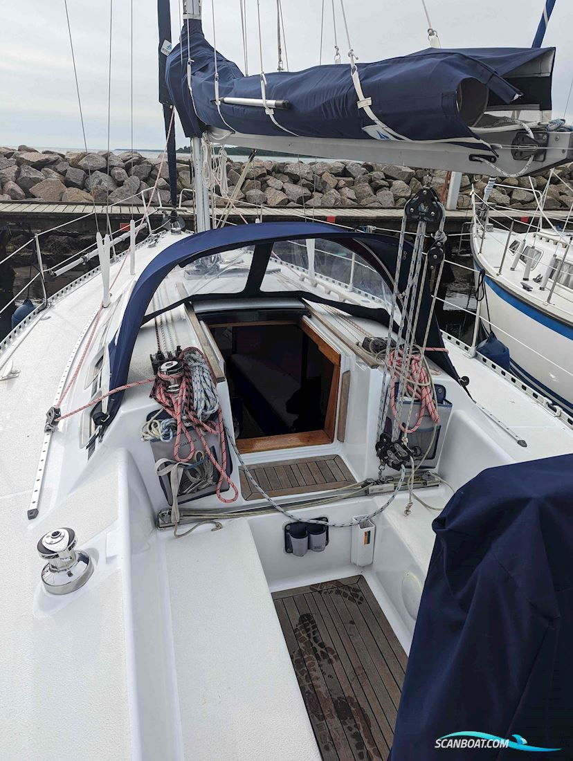 Elan | Segelboot Verkaufen | Dänemark | Scanboat