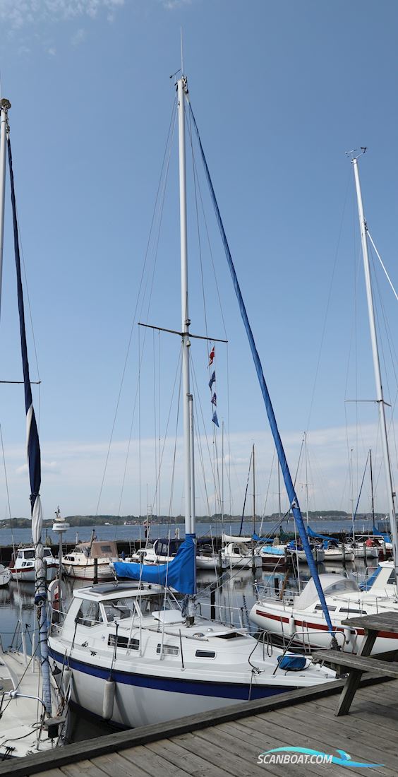 LM 32 | Segelboot Verkaufen | Dänemark | Scanboat