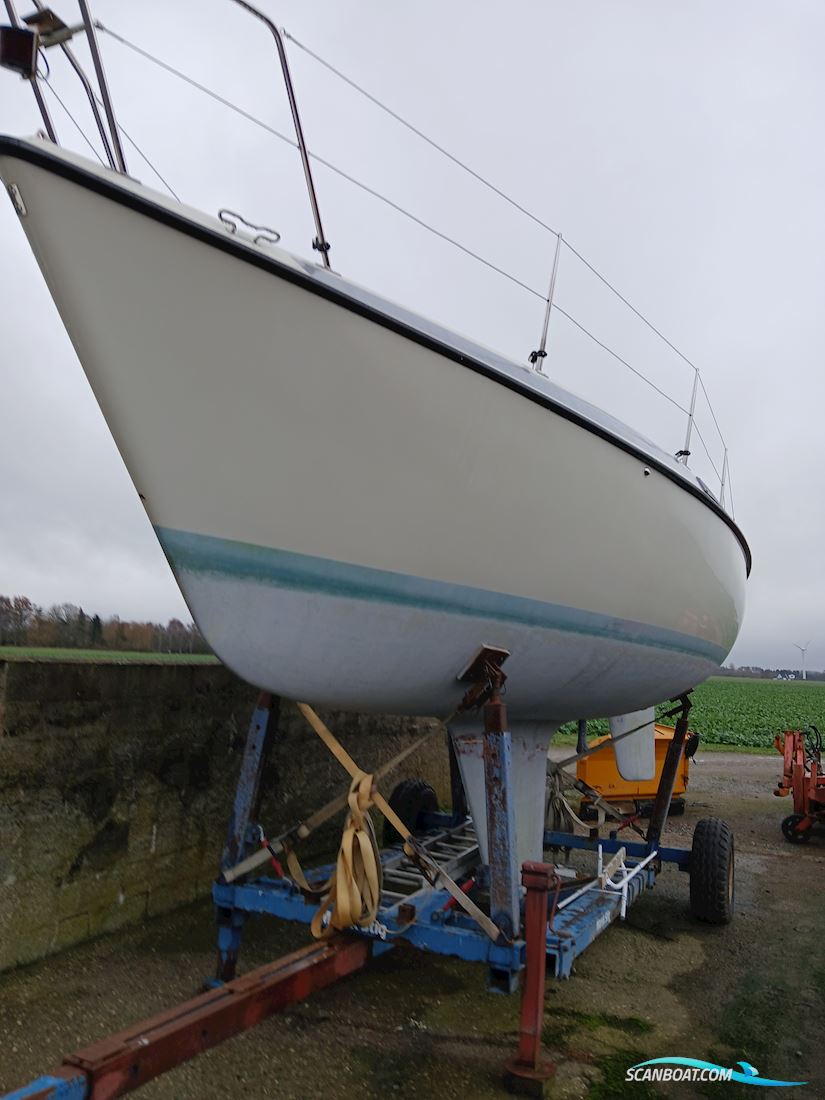 Maxi 84 Segelboot Verkaufen | Dänemark | Scanboat